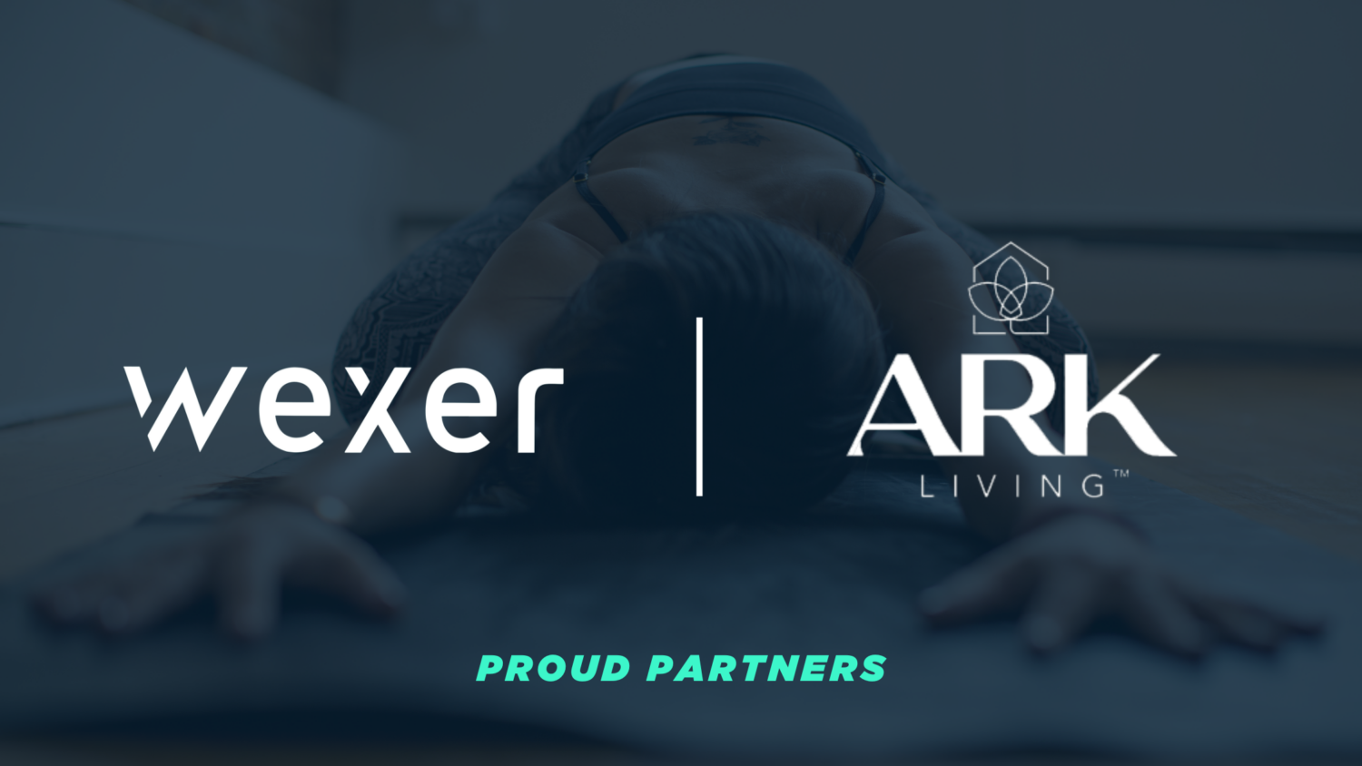 ARK & Wexer Unite: Inspiring Global Digital Wellness for All - Wexer
